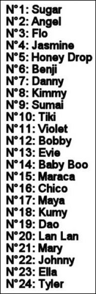 Paciocchini Babies - New Generation Jouets / Poupées / Figurines