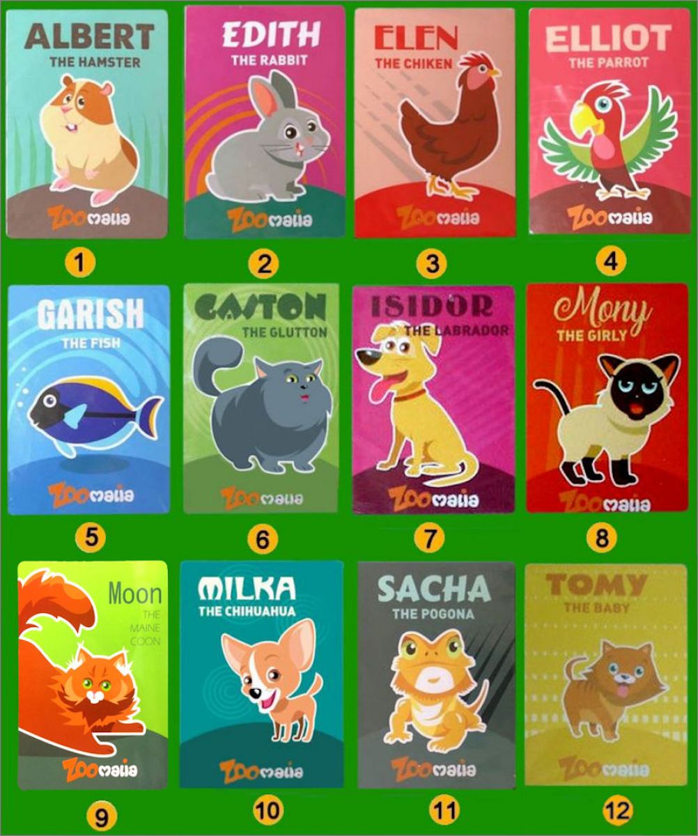 Zoomalia - 12 Magnets d'Animaux - 2018 à 2021 Autres / Loisirs